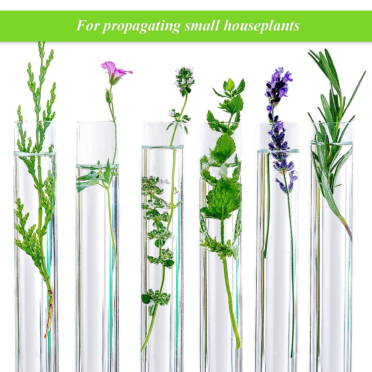 Weewooday 20 Pieces Plastic Test Tubes with Cork Stoppers and 2 Funnels, 1 Brush for Halloween Science Party, Christmas Candy Bath Salt Storage Containers (15 x 100 mm, 10 ml)