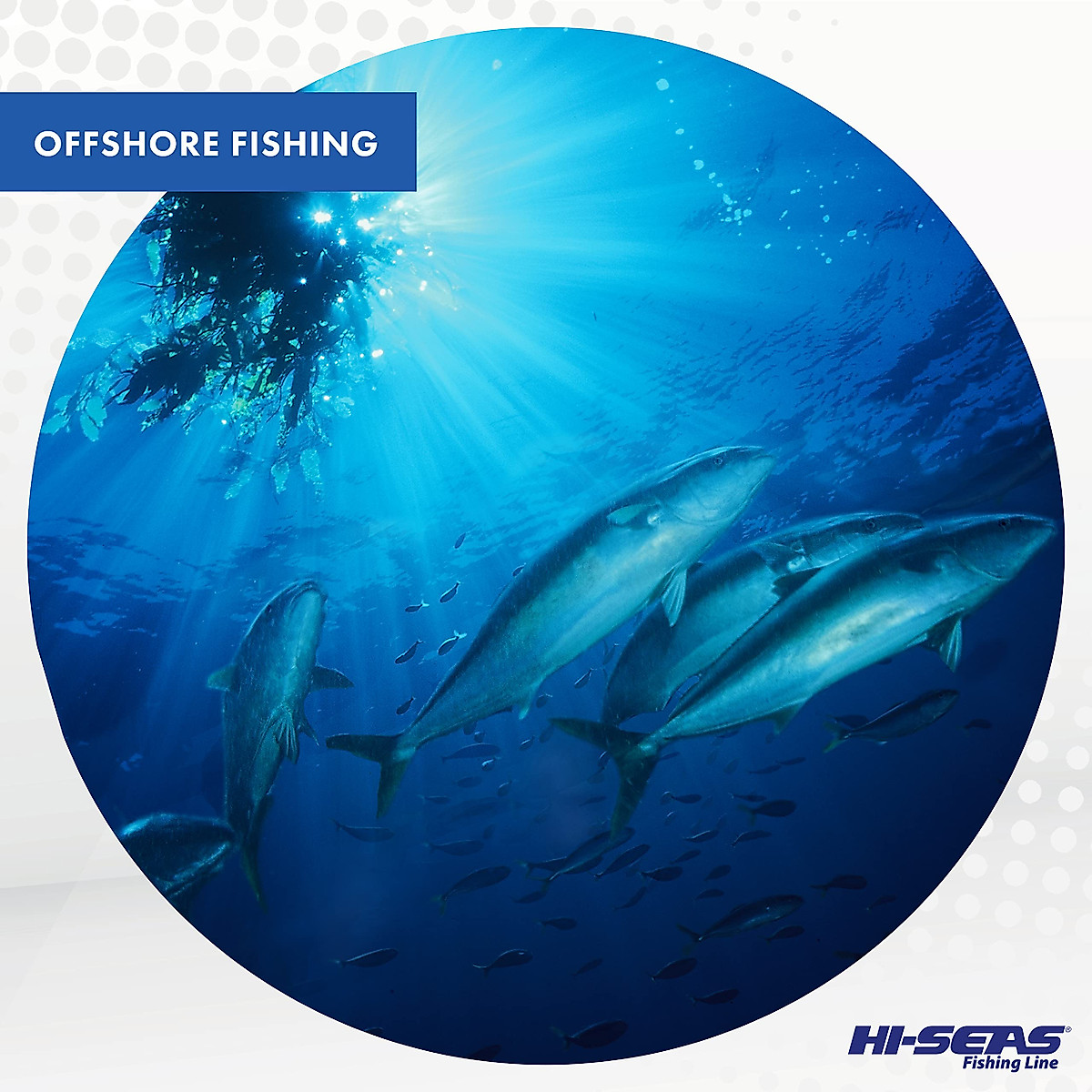 Hi-Seas Quattro Monofilament Line, 30 lb / 11.3 kg Test, 022 in / 0.55 mm Dia, 4-Color Camo, 1600 yd / 1463 m