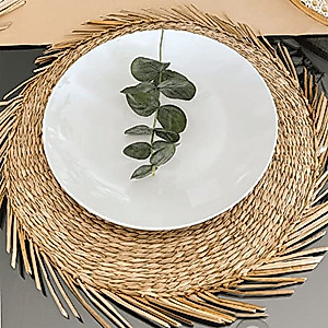 Artera Set of 6 Oversized Round Seagrass Placemat, 15" Round, Woven Table Mats, No-Slip Natural Heat Resistant Mats for Table, Coasters, Pots, Pans & Teapots in Kitchen (Round 10)