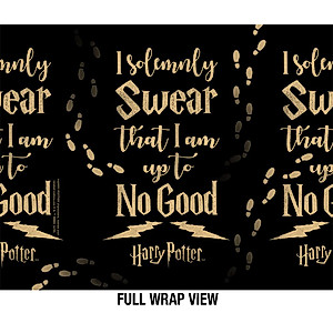 Harry Potter OFFICIAL No Good 24 oz Insulated Canteen Water Bottle, Leak Resistant, Vacuum Insulated Stainless Steel with Loop Cap