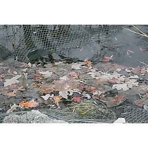 15 Feet x 12 Feet Pond Netting with Placement Stakes, Black Size: 15' x 12', Model: PT953, Home & Garden Store