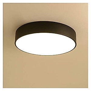FXJ Waterproof Outdoor Ceiling Light Bathroom Lights Wall Sconce Lamp Flush LED Kitchen Balcony Porch Lighting Fixtures 90-260V (Color : Warm White, Size : 20W 28CM Dia)