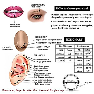 Vsnnsns 16G Stainless Steel Hinged Segment Clicker Nose Rings Hoops Septum Jewelry Lip Ring Hoop Cartilage Tragus Conch Helix Rook Hoop Earrings Piercing Jewelry for Women Men 10MM Mix Colro 16 Gauge