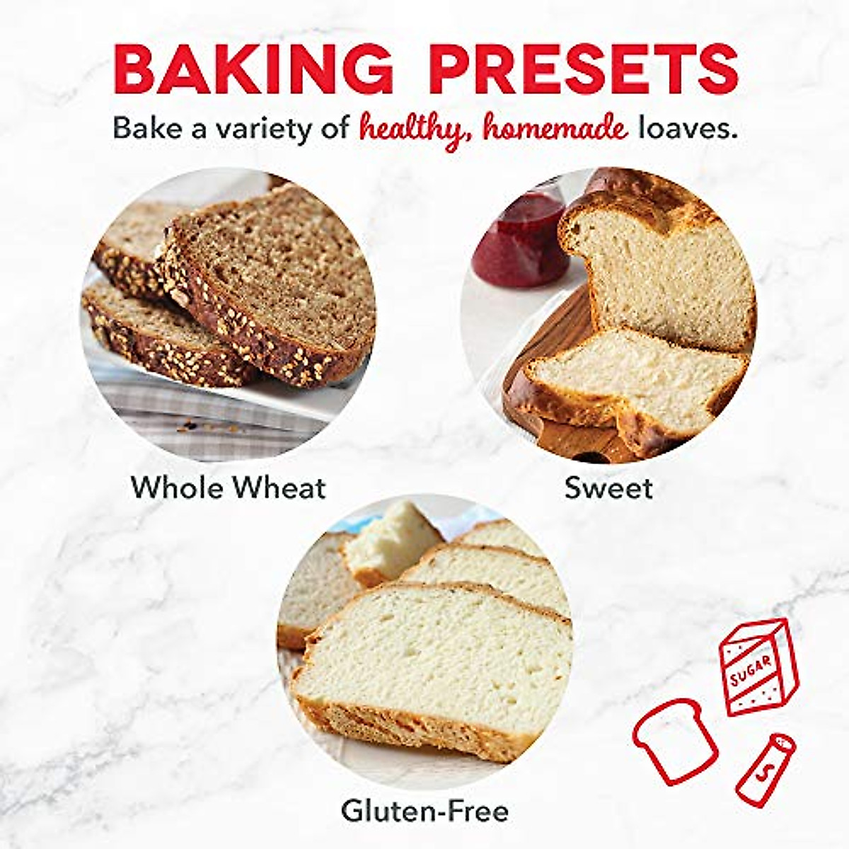 Dash Everyday Stainless Steel Bread Maker, Up to 1.5lb Loaf, Programmable, 12 Settings + Gluten Free & Automatic Filling Dispenser - Aqua