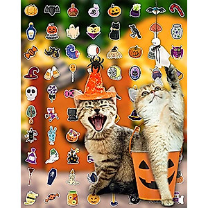 300PCS Halloween Pumpkin Stickers,Vinyl Waterproof Stickers for Water Bottles Laptop Skateboard Computer,Halloween Party Favors Gifts Funny Stickers for Kids Teens Adults