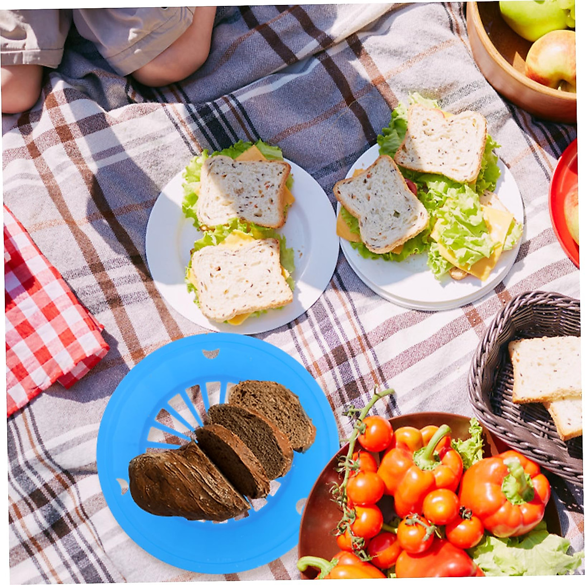 SOLUSTRE 20 Pcs Grill Plate Reusable Barbecue Trays Paper Plate Holders Small Paper Plates Plate Holders for Dinner Plates Food Plastic Dishes Disposable Picnic Supplies Dish Rack re-usable