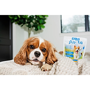 N-Bone FLOSSta Dual Action Dental Chews Mint Flavor, 12-oz Bag