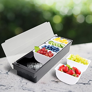 AJinTeby Condiment Caddy with Lid, Ice Chilled 6 Trays Topping Containers of Fruit Veggie, Plastic Storage Food Containers for Bartending and Restaurant Supplies