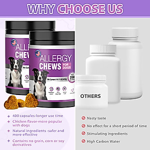 Dog Allergy Chews 100 PCs,Itch and Allergy Chew for Dogs, Relief for Itchy Skin and Seasonal Allergies in Dogs,Vitamin Immune Supplement