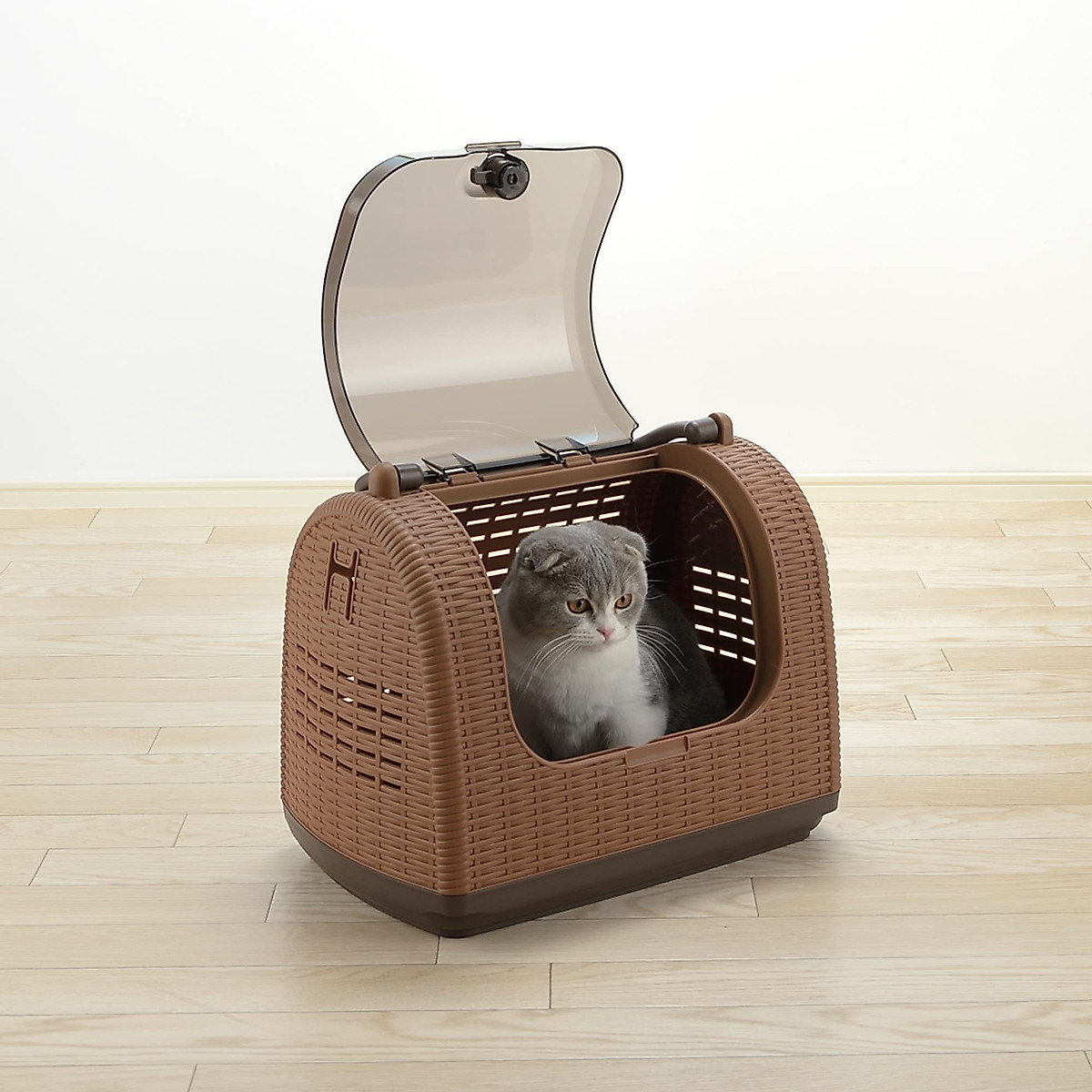 Richell Faux Wicker Pet Carrier, Travel Carrier for Small Dog and Cat with Clear Top Door
