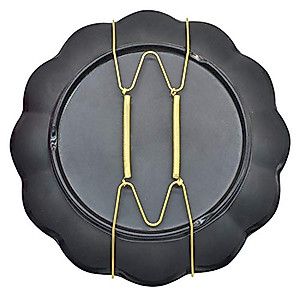 Fasunry 12 Pack Plate Hangers, 8 10 12 Inch Wall Plate Hangers and 16 Pack Wall Hooks, Compatible 7.5 to 12.5 Inch Decorative Plates, Antique China, Antique Plates and Arts