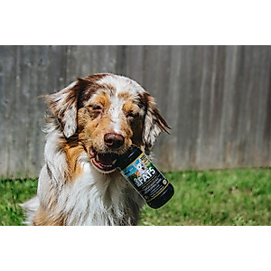 BiologicVET - BioFATS Omega 3-6-9 Fatty Acid with EPA & DHA, Supports Healthy Skin, Coat and General Wellness, 94-Day Supply for 30-lb. Animal, 12-fl. oz. Bottle