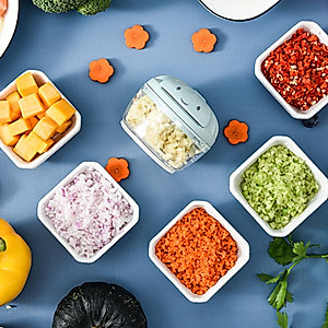 SAYIHEXIHE Garlic Chopper Mini Manual Hand Food Chopper for Kitchen Onion Dicer Crusher Garlic Mincer Blue 160ml