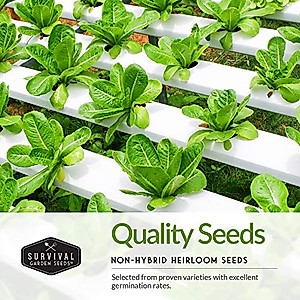 Survival Garden Seeds 5 Lettuce Collection Seed Vault - Buttercrunch, Oakleaf, Lolla Rosa, Parris Island, Iceberg - Non-GMO Heirloom Seeds for Year Round Growing in Your Vegetable Garden