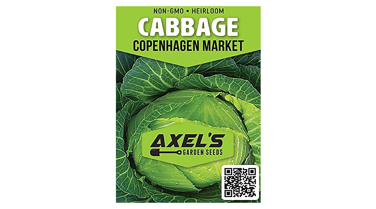 Heirloom Copenhagen Cabbage Seeds - Non-GMO & Easy Grow