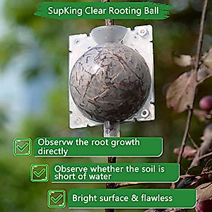 Plant Rooting Grow Propagation Ball,Air Layering kit,Assisted Cutting Rooting,Reusable Plant Rooting Device,High Pressure Ball Grafting Device Root Box for Plants Rose.(8pack)