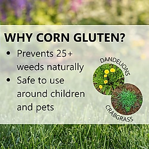 Jonathan Green 11591 Corn Gluten Lawn Fertilizer, 10-0-2 Formula, 5,000-Sq. Ft. Coverage - Quantity 1