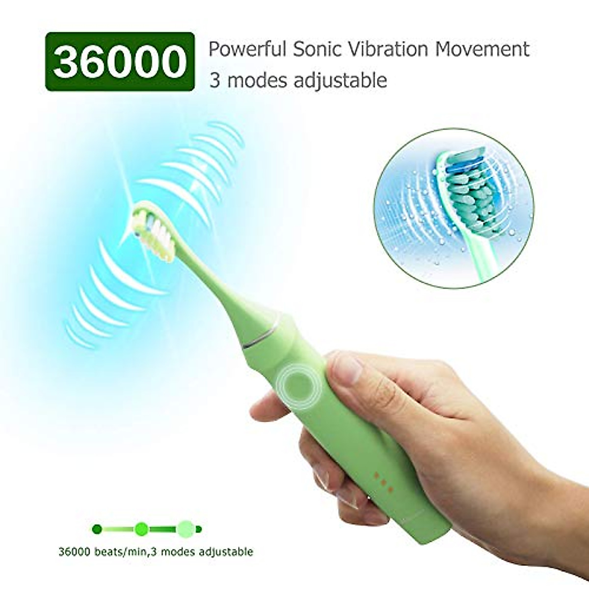 MICESHU Sonic Electronic Toothbrush for Adults, Cleaning with 3 Modes IP67 Waterproof Rechargeable Toohthbrush with 2pcs Replacement Dupont Brush Heads (Green)