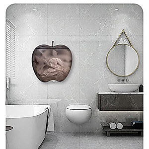 SAMTN Disposable Clingfilm Storage Box, Plastic Wrap Storage Box with Lid, Wall mounted Food Cling Film Container (black)