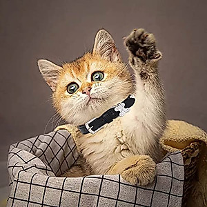 Dog Bell Collar Soft Pet Bone Rhinestone Dog Collar Diamond Buckle Pet Leash Cute Cat Collars Breakaway with Bell