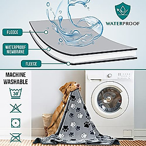 PetAmi Waterproof Dog Blanket for Extra Large Pets Dogs Cats, Large Pet Couch Cover Protector for Furniture, Reversible Washable Soft Fleece Cat Blanket for Bed Couch Sofa, 60x80 (Paw Print Gray)