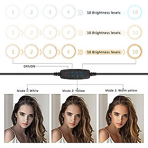 Webcam Streaming Light, Webcam Stand with 6'' Ring Light, USB Webcam Light Mount Kit for Logitech Webcam C920s C920 C930e C922x C930 C922 C925e C615 Brio - Dual 25 inch Arm Stand