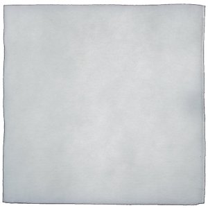 iPower 6 Inch Replacement Pre-Filter for 6" Carbon Filter