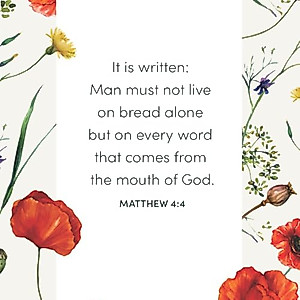 The Bible in a Year - Bible Study Book: A Guided Scripture Reading Journey for Women