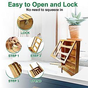 : Ziplock Bag Organizer Storage Cabinet - Foil and Plastic Wrap Organizer with Cutter for Kitchen Organization - Bamboo 6-in-1 Plastic Wrap Dispenser Suitable for, Foil, Gallon, Quart, Sandwich Bags