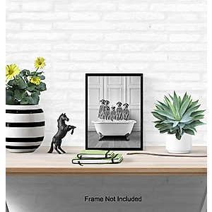 Bathroom Wall Decor - Funny Bathroom Decor - Bathroom Wall Art - Meerkat Bathroom Decorations Pictures - Bath Wall Decor - Modern Bathroom Accessories - Guest Bathroom - Restroom Sign - Powder Room