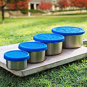 Home and Harvest Stainless Steel Lunch Box For Kids With Lids - Metal Snack Containers For Lunch Box 4 Pack