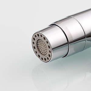 Tecmolog 2 Functions Bidet Toilet Sprayer Head Stainless Steel Bathroom Diaper Sprayer for Personal Hygiene, Chrome, WS024AD