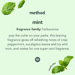 Method Glass Cleaner, Mint, 28 Ounce, 4 Pack, Packaging May Vary