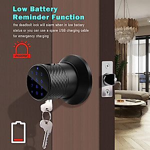 Fingerprint Door Knob, FITNATE Bluetooth Digital Code Door Lock Knob Gate Lock with Keypad, App Work with Alexa, Echo, Security Guard for Home, Hotel, Office, Easy to Install