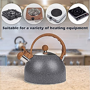Tea Kettle for Stovetop, 2.5 Quart Stainless Whistle Teapot Water Boilers for Stovetops, Induction Stone Kettle with Loud Whistle - Perfect for Preparing Hot Water Fast for Coffee Tea(Grey)