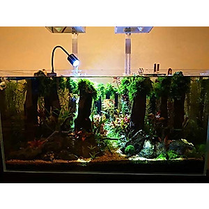 NILIPAL LED Aquarium Light - Freshwater Fish Tank Light Vivarium Terrarium Spotlight 3 Colors 3000K 4000K 6000K Cool Warm White for Planted Fish Tank (3 Colors)