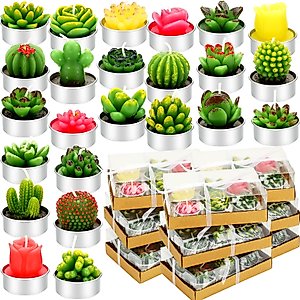 Lounsweer 72 Pcs Succulent Candles Cactus Tealight Candles Handmade Delicate Candles for Birthday Baby Shower Wedding Spa Party Favors Gifts Home Decor