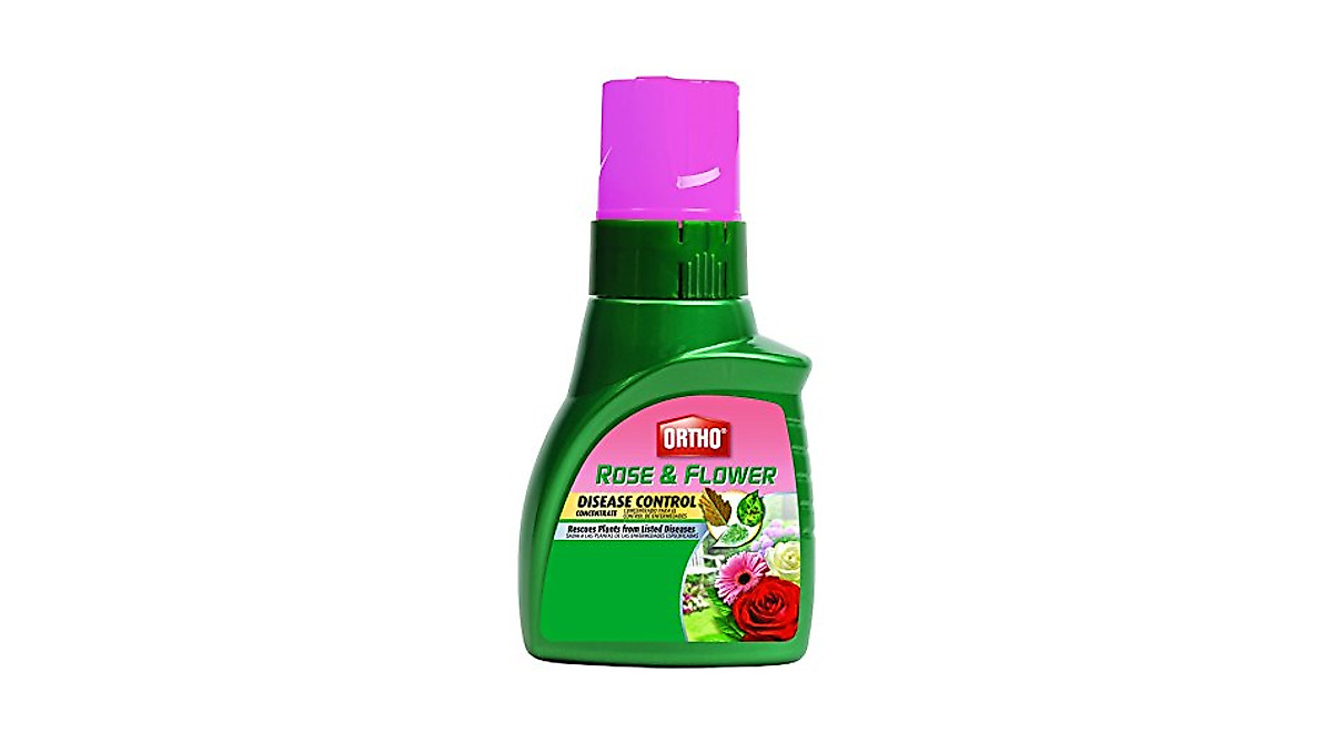 Ortho Rose & Flower Disease Control Concentrate | Protects Roses 4 Weeks