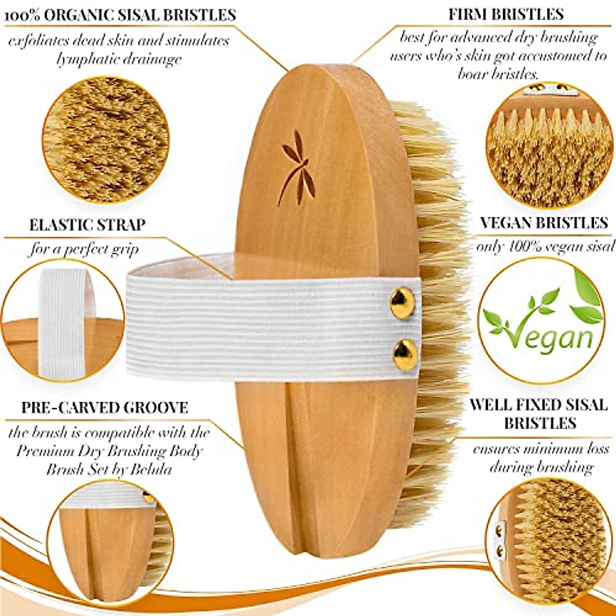 Belula 100% Vegan Dry Brushing Body Brush. Firm Dry Brush for Cellulite and Lymphatic. Brushes for Advanced Users. Exfoliating Skin Brush and Free Konjac Sponge, for a Softer, Glowing Skin