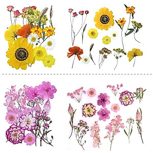Dried Flowers for Resin, elefis 6 Packs Pressed Flowers and Leaves for Resin, Candle Making, Crafts, Nails, Scrapbooking, Epoxy Jewelry, Soap Making (Colorful A)