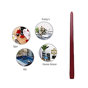 Zest Candle 12-Piece Taper Candles, 12-Inch, Burgundy