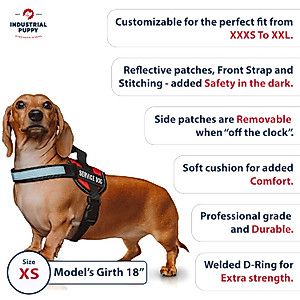 Service Dog Vest with Hook and Loop Straps and Handle - Harness is Available in 8 Sizes from XXXS to XXL - Service Dog Harness Features Reflective Patch and Comfortable Mesh Design Bright Red