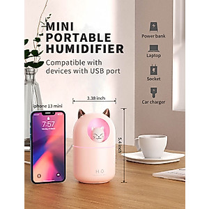 Norhom Cool Mist Humidifier, 300ml Mini Humidifiers with Night Light, 20dB Quiet Humidifiers for Bedroom, Waterless Auto-Off Air Humidifier for Home, Living Room, Kidsroom