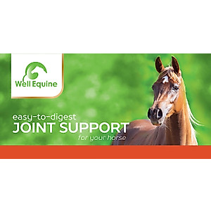 Equine Joint Health Supplement | Liquid Horse Glucosamine with MSM, Chondroitin and Hyaluronic Acid | Highly Effective Liquid Horse Joint Supplement | 1qt