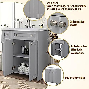 Ayvbir 30 inch Bathroom Vanity with Single Sink in Grey,Combo Cabinet Undermount Sink,Bathroom Storage Cabinet with Solid Wood Frame