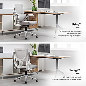 BRTHORY Office Chair Height-Adjustable Ergonomic Desk Chair with Self-Adjustable Lumbar Support, Breathable Mesh Computer Chair High Back Swivel Task Chair with Flip-up Armrests - Grey