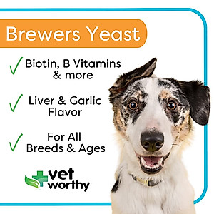 Vet Worthy Brewer’s Chewables for Dogs - Dog Daily Supplement to Support Healthy Skin and Coat - Brewers Supplement with Zinc, Iron, Vitamin B Complex - Garlic Flavored, 300 Tablets