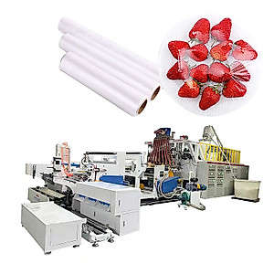 Single-Layer Blown Film Production Line – Plastic Extruder for Cling Film Manufacturing
