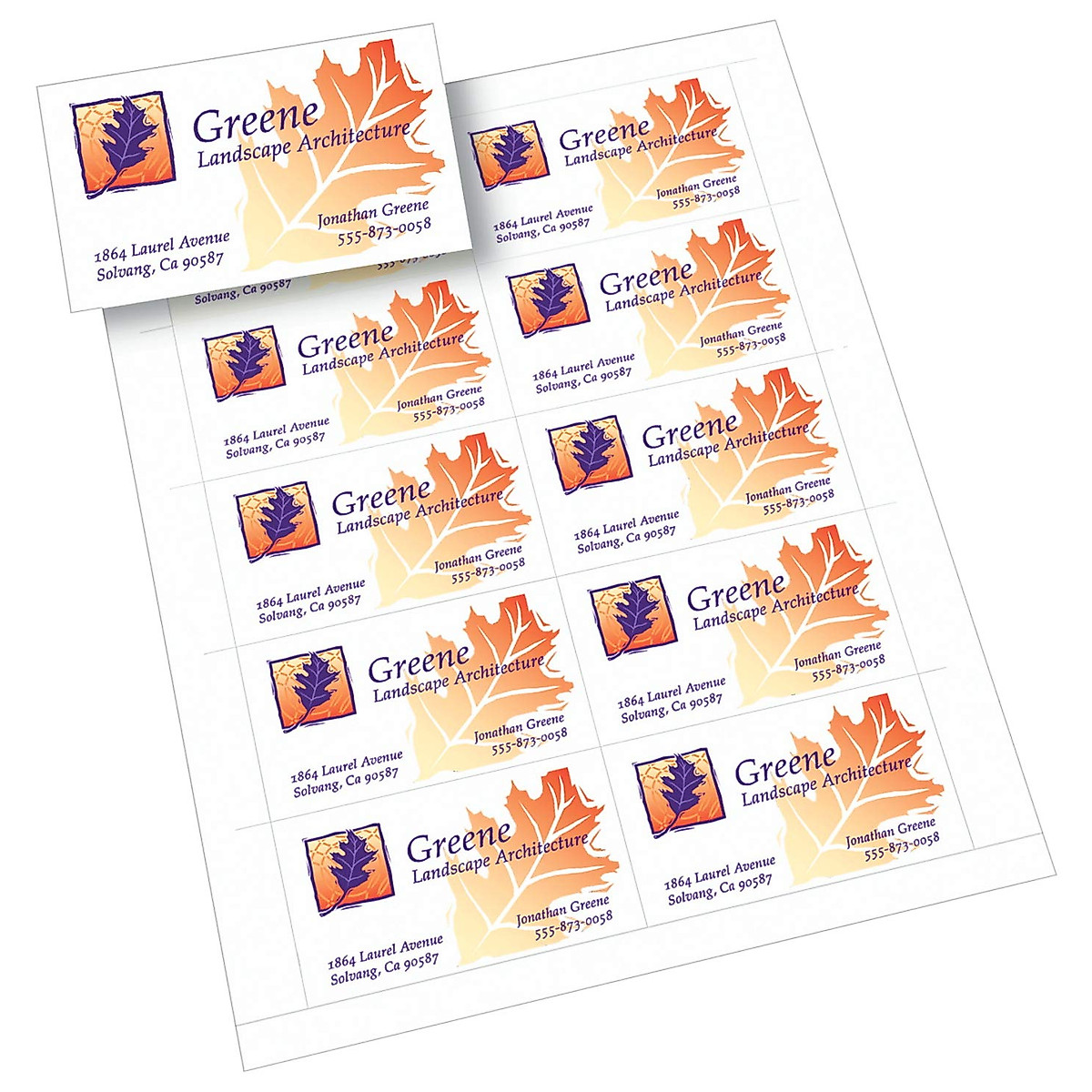 True Print Clean Edge Business Cards, Inkjet, 2 x 3 1/2, White, 200/Pack