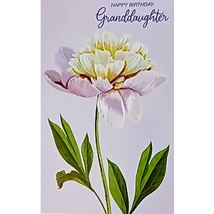 Greeting Card You Are A Joy And No One Else Can Take Your Place - All The Things That Make You A Wonderful Granddaughter Happy Birthday